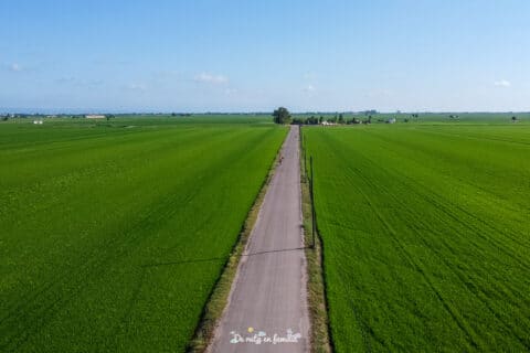 Delta de l’Ebre amb nens. Activitats i recomanacions