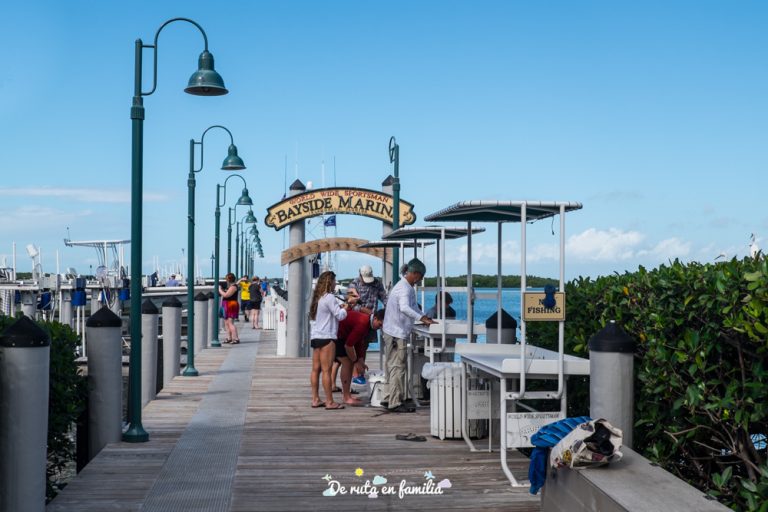 Cayos de Florida. Qué ver en una ruta de Miami a Key West